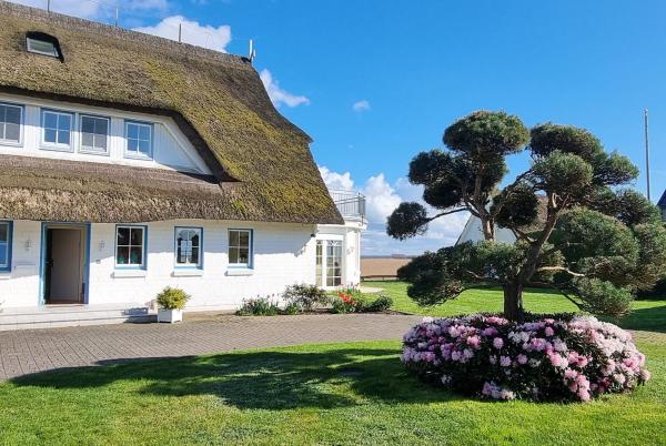 Boddenland 1 - Ahrenshoop