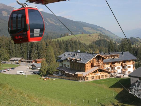 Apartment Mittersill Near Ski Bus & Kitzbühel - Mittersill