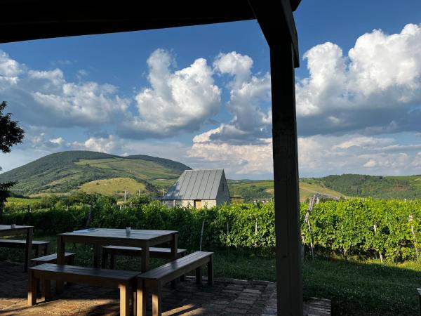 Csernus Doki Bor-grillterasza éS Bungallói - Eger