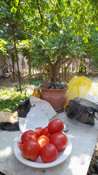 Hostel Kaeti - Georgië