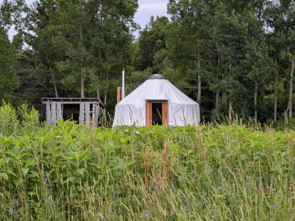 Cozy Yurt On A Heritage Farm With Trails, Pond, And Sauna - Algonquin Provincial Park