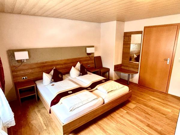 Gasthof Zur Post - Riedlingen