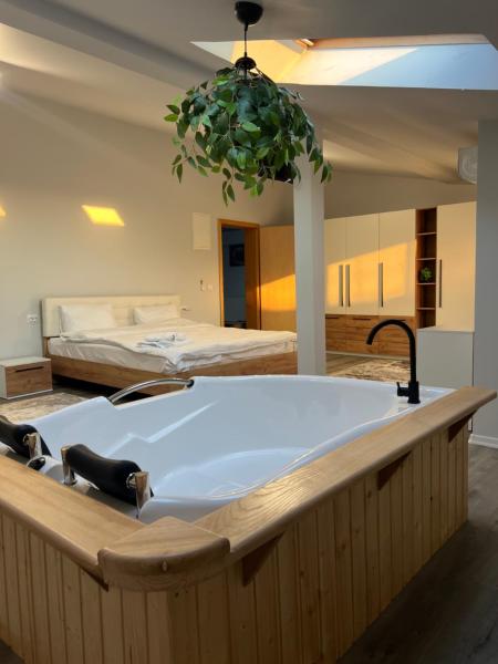 Nesto Rooms - Vadu Izei