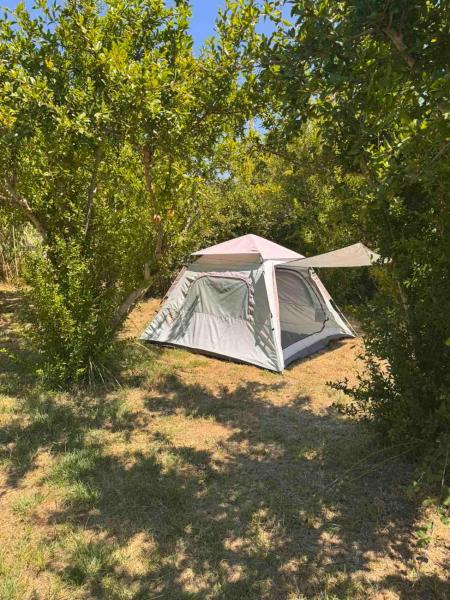 Greenfield Campsite - Montenegro