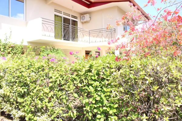 Le Colibri - Spacieux Appartement Avec 3 Chambres - Cayenne