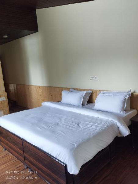 Resort Ashiana With Parking And Mountain View By Rohtang Hotels - Manali