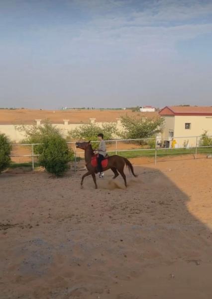 مزرعة العائلة -