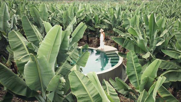 Hacienda Los Orovales - La Orotava