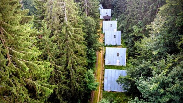 Hütte Tannengrün - Ruheort Mitten Im Wald - Aue