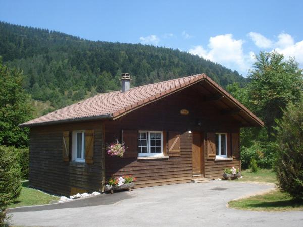 Chalet Confortable à La Bresse, Proche Ski, Wifi, Animaux Acceptés - Fr-1-589-130 - La Bresse