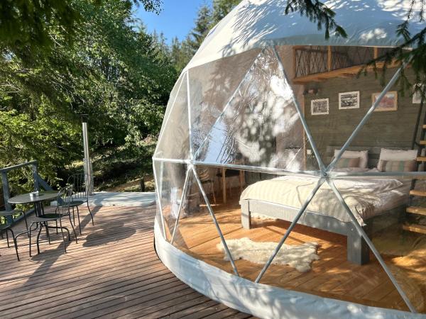 White Fox Dome - Roumanie