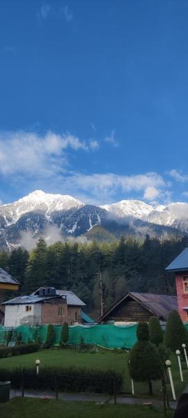 The K2 Alpine - Pahalgam