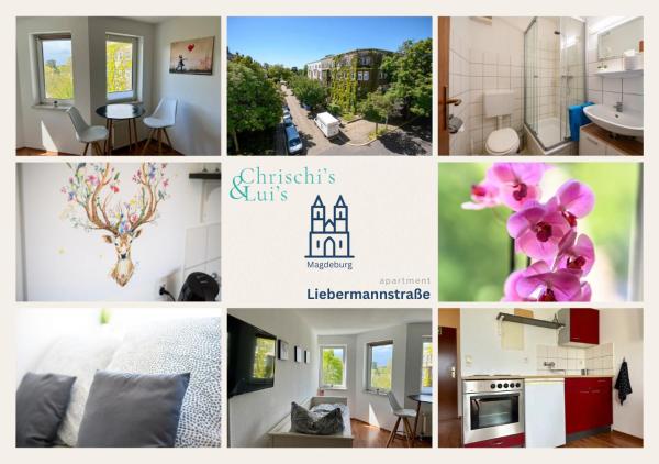 Gemütliches 1-zimmer-apartment In Magdeburg, Ruhig Und Zentral Gelegen - Magdeburg