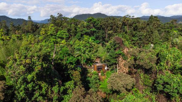 Magic Mena Rainforest Retreat By Tiny Away - Silkwood