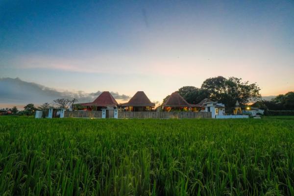 Villa Artha Ubud - Ubud