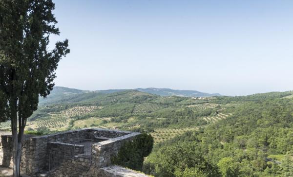 Agriturismo Borgo Spagnoli - Passignano sul Trasimeno