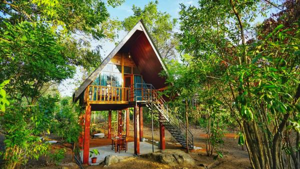 Jungle Crown Cabin - Sri Lanka
