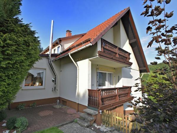 Gruppen- Ferienhaus In Wieda - Harz