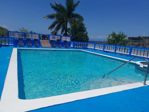 Blue Shells - Jamaica