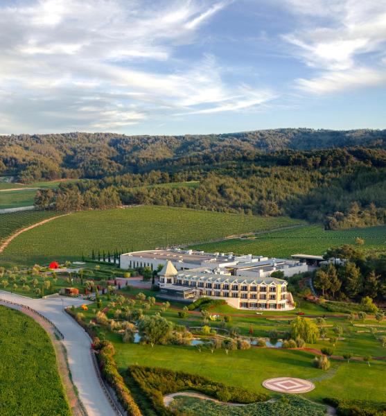 Hotel Caeli - Çanakkale