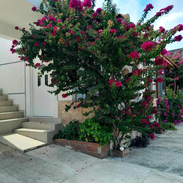 Denni’s Home - Saranda