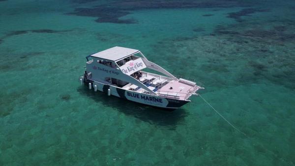 Bluee Marine - Punta Cana