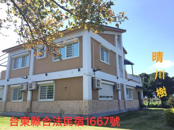 晴川樹 - Taitung County