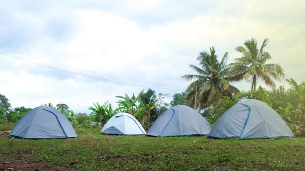 Primal Camping - Yelagiri