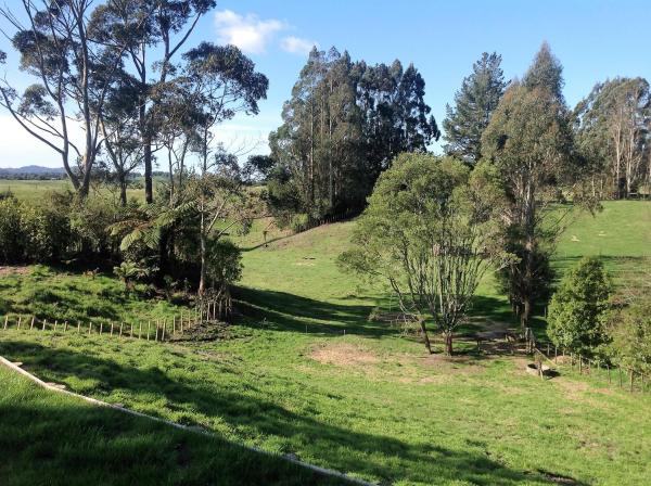 Rolling Hills Country Stay B&b - Bay of Plenty