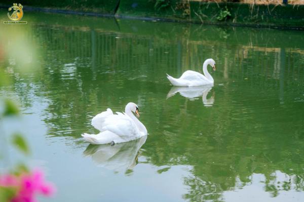 Ume Hotel & Retreat - tt. Xuân Mai