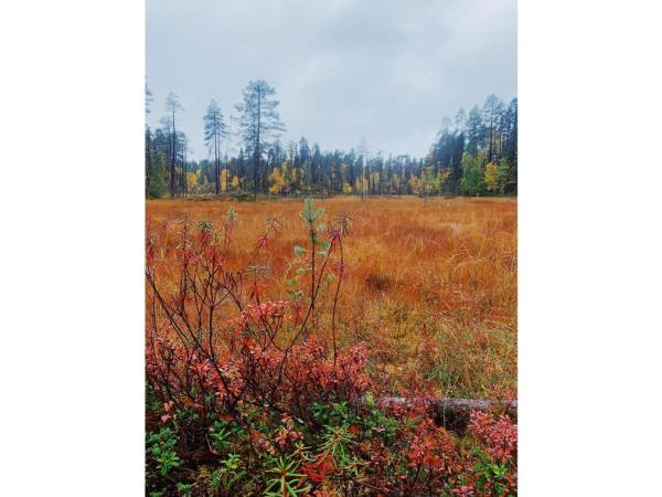 Holiday Home Sallan Lumous A By Interhome - Salla