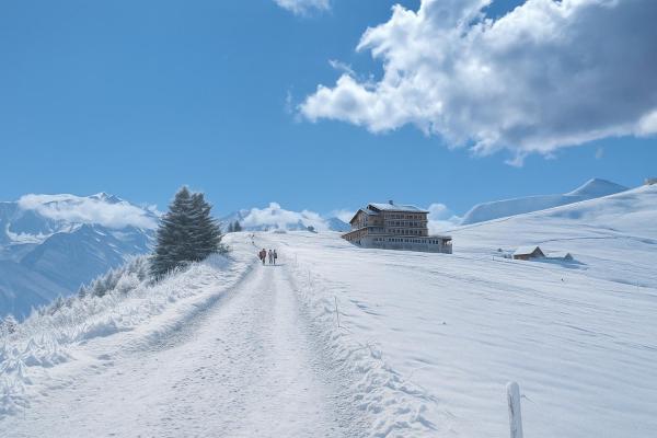 Le Refuge Du Mont D'arbois, Accès En Télécabine Avant 17h - Megève