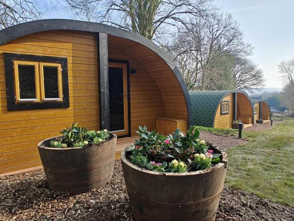 Oak - Pantygelli Escapes - Abergavenny