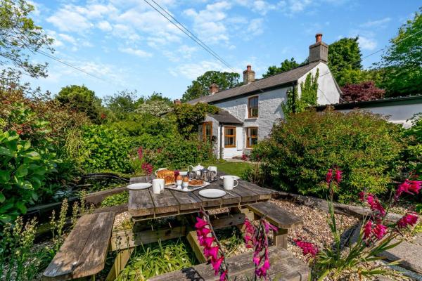 Hollow Tree Cottage - Porthtowan