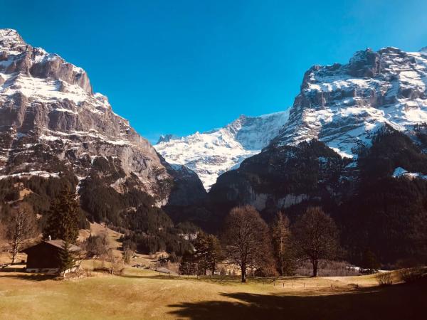 Tolle 2,5 Zimmer Galeriewohnung - Grindelwald