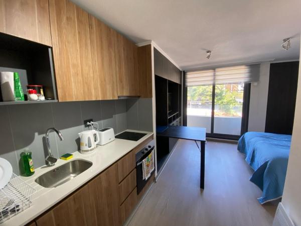 Dpto Homestudio Conce Centro - Concepción