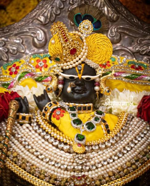 Hotel The Gold Regency - 赫爾德瓦爾