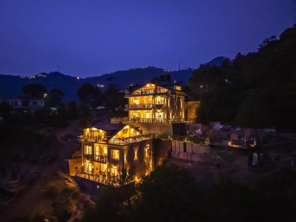 Konifer Greyvine - Kasauli