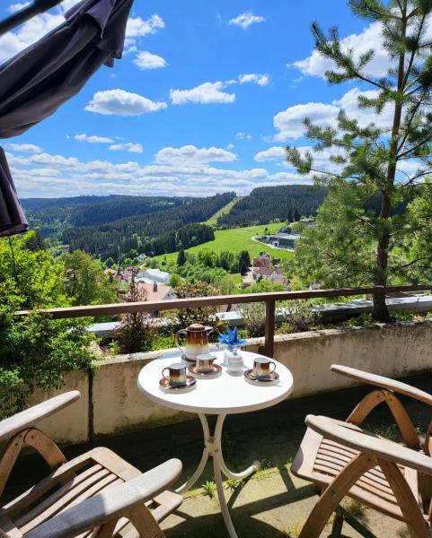 Schonach Mountain-top, Forest, Free Parking, New Kitchen, Renovated Bathroom - Simonswald