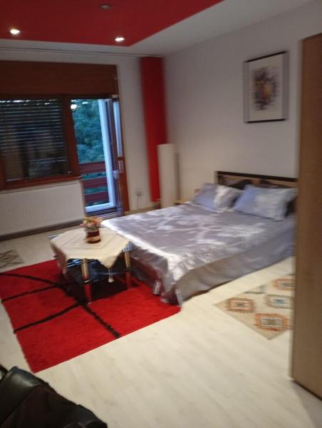Apartament Cu Terasa La Casa Valentin - Timișoara