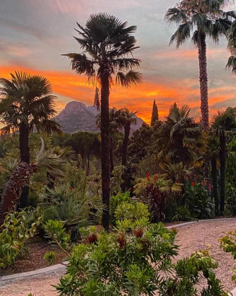 Tropicana Lodge - Sardaigne - La Garde-Freinet