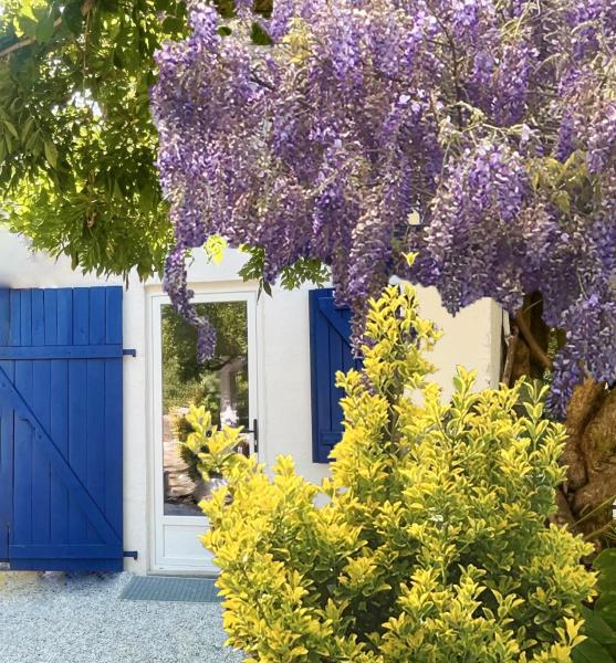 C'est Une Maison Bleue Adossée à La Forêt - Saint-Paul-lès-Dax