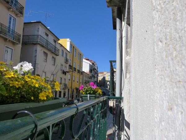 Discover Alfama - Moita