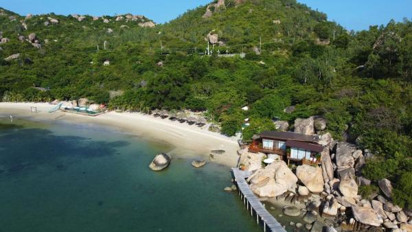 Sao Biển Cam Ranh - Starfish Cam Ranh - Cam Ranh