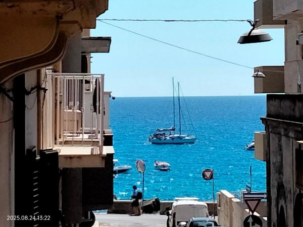 Calò 13 - Gallipoli