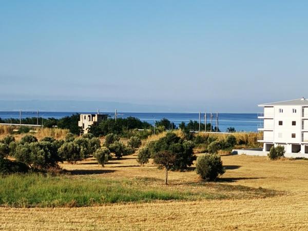 Blu Amalfi - Falerna