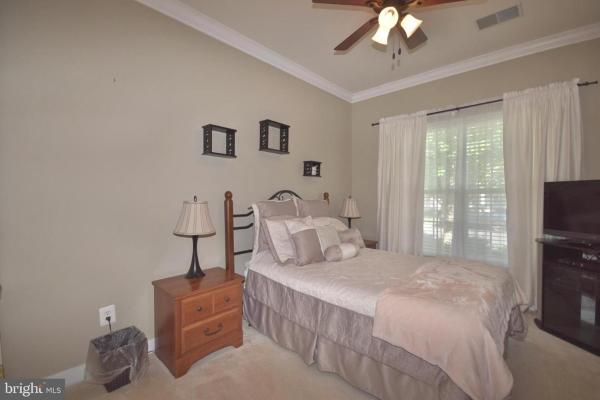 Ormond Dr - Gainesville, VA