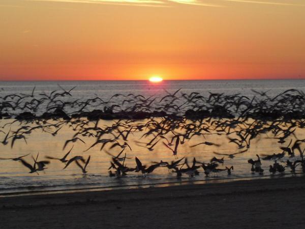 Large Waterfront Canal Home W Kayaks And Covered Boathouse - Crystal River, FL