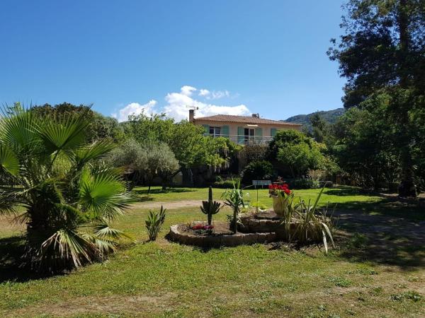 U Pinu Appartement 3 Chambres - Corsica