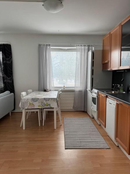 Small Budget Traveler's Two-room Apartment - Finland